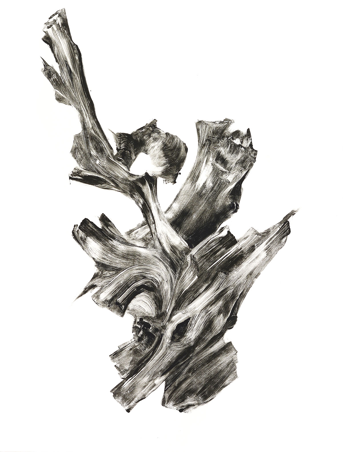Gallery Sitka™ | New England Woman-Owned ART Gallery